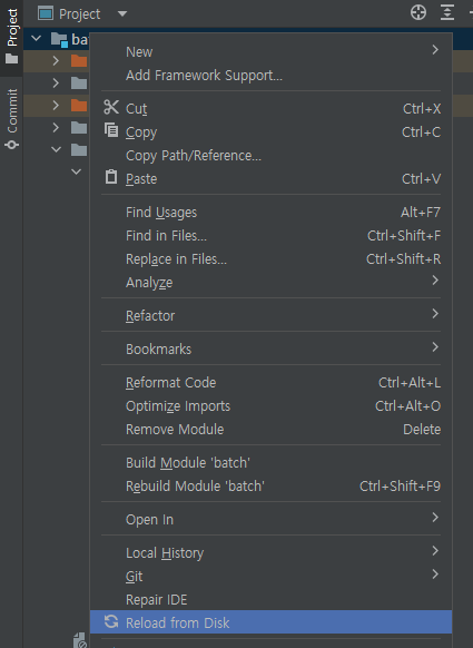 IntelliJ Indexing 